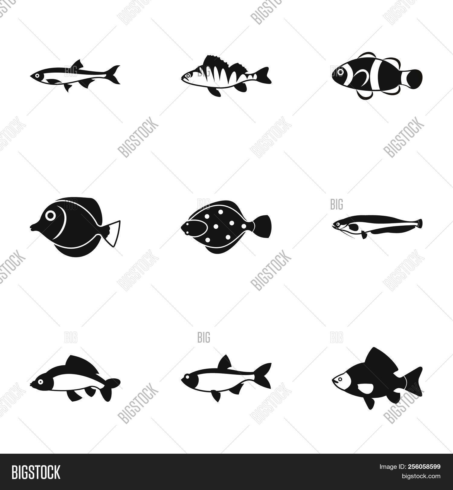 Species Fish Icons Set Image & Photo (Free Trial) | Bigstock