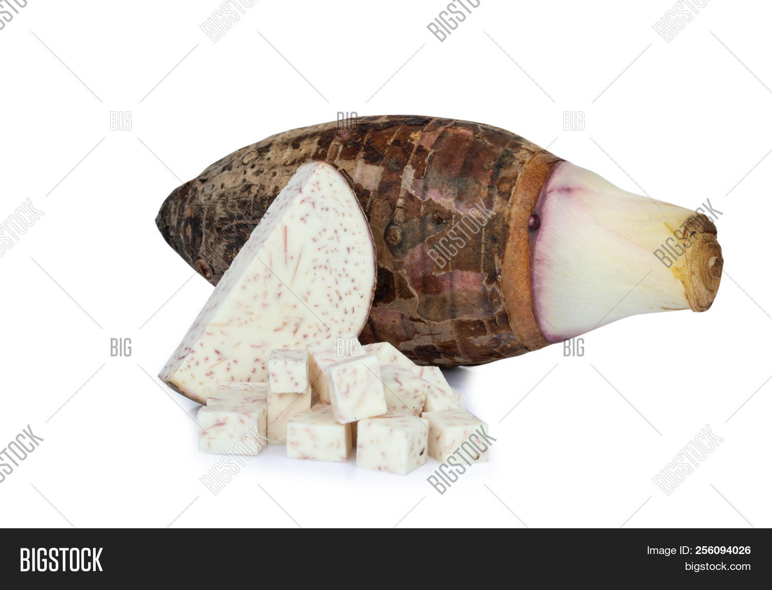 Sweet Taro Root, Image & Photo (Free Trial) | Bigstock