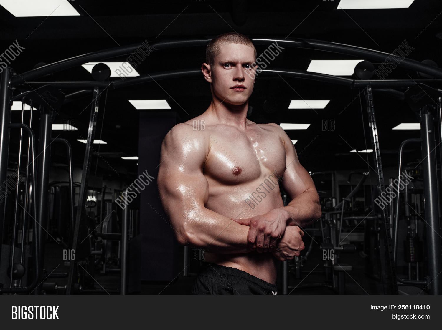 Portrait Very Muscular Image & Photo (Free Trial) | Bigstock