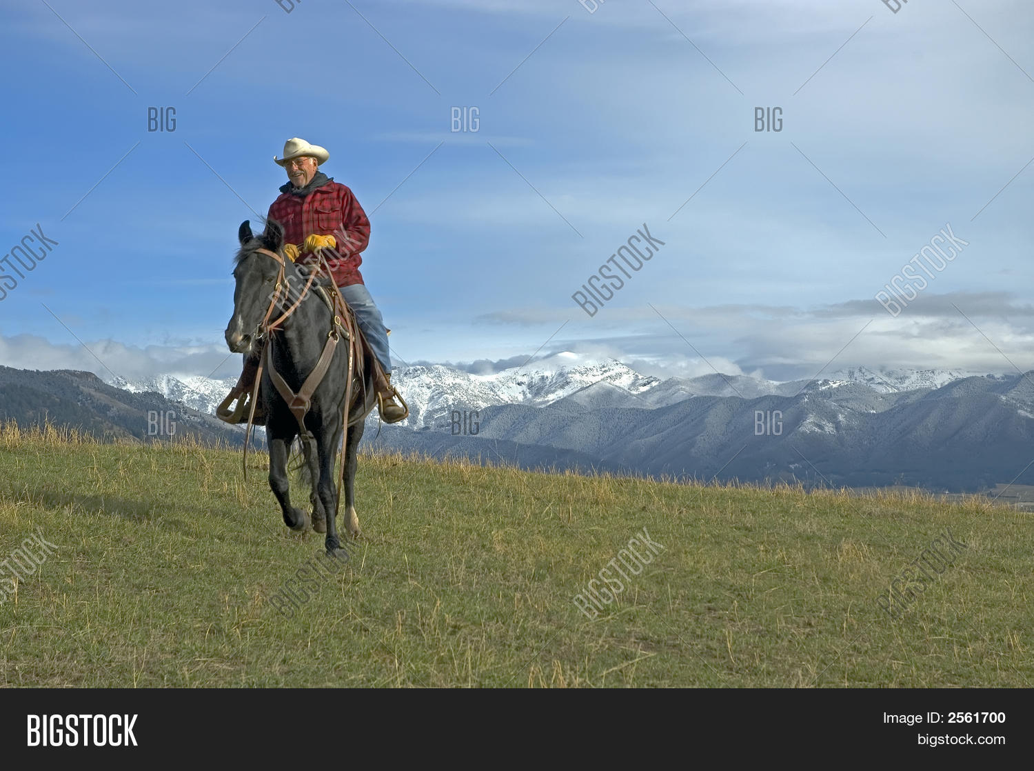 Cowboy On Range Image & Photo (Free Trial) | Bigstock
