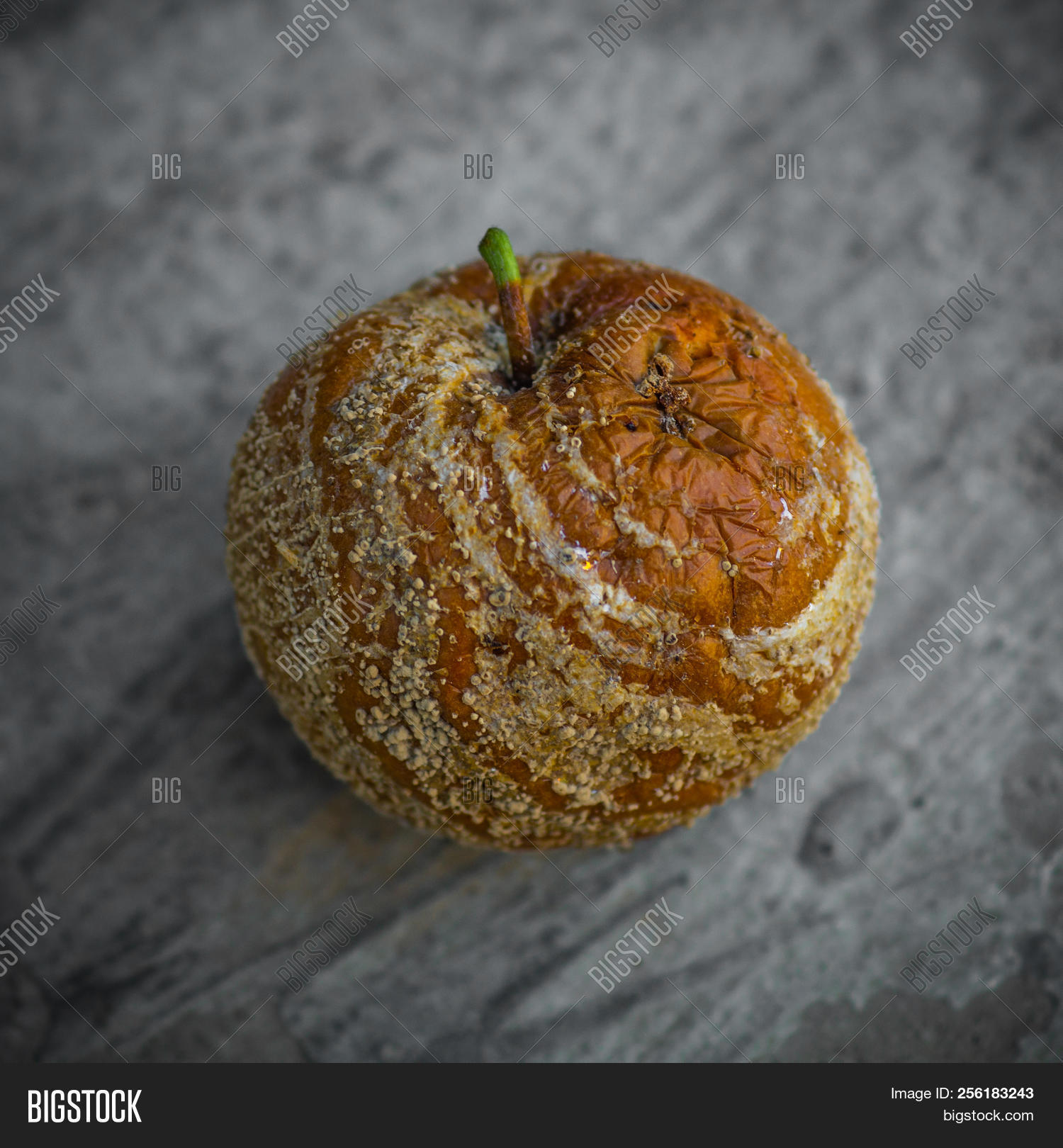 Rotten Apple Lying On Image & Photo (Free Trial) | Bigstock