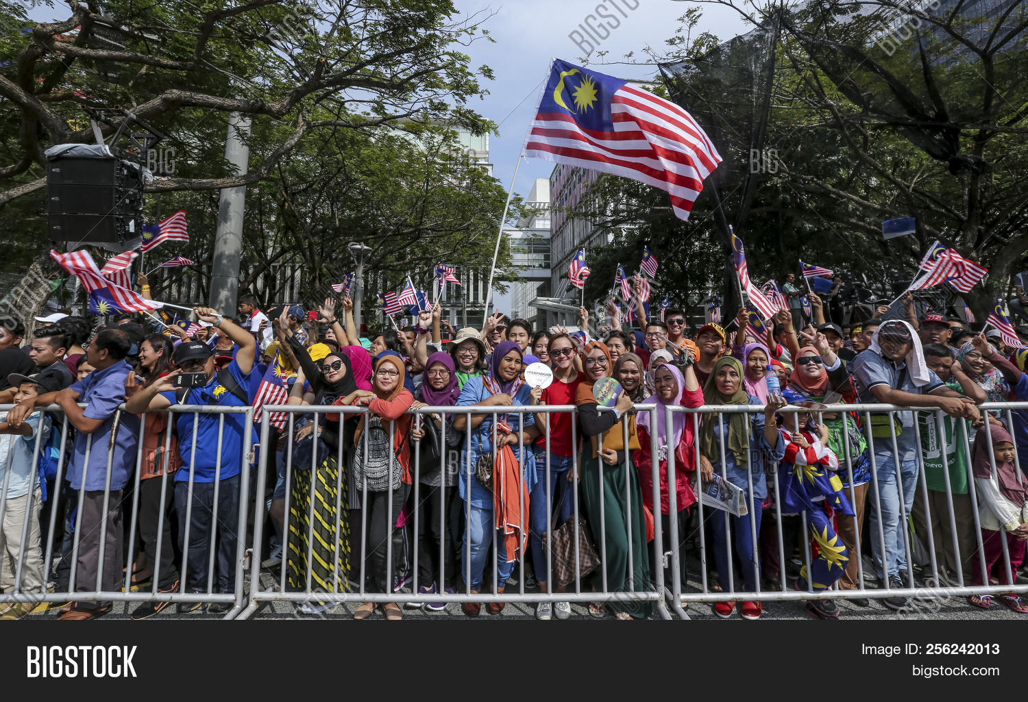 Celebrating 61Th Image & Photo (Free Trial) | Bigstock