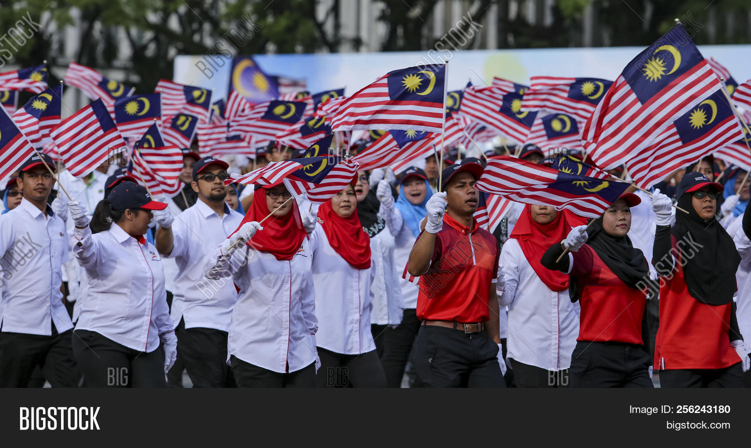 Celebrating 61Th Image & Photo (Free Trial) | Bigstock