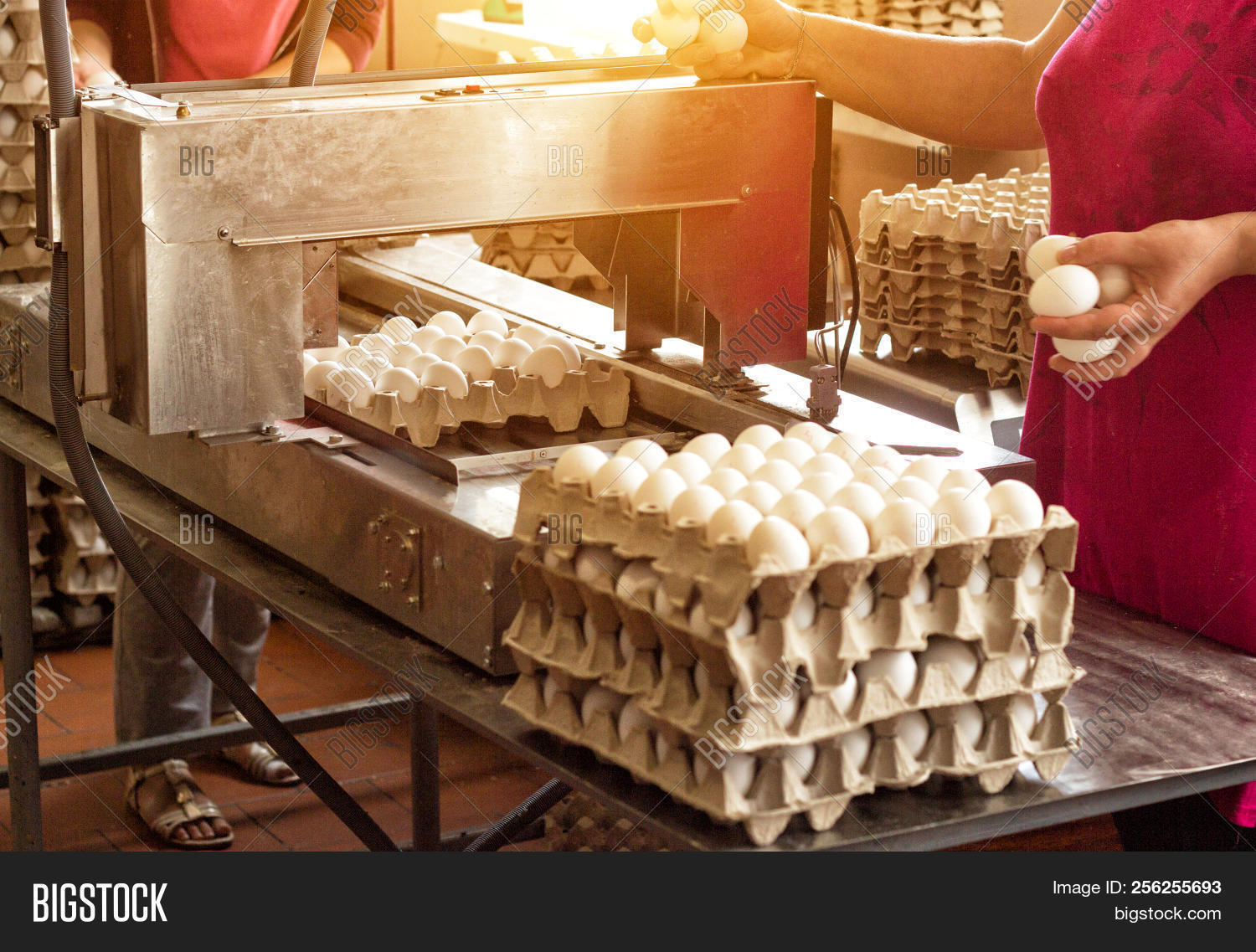 Production Sorting Image & Photo (Free Trial) | Bigstock