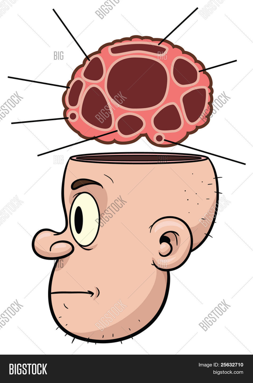 Cartoon Vector & Photo (Free Trial) | Bigstock