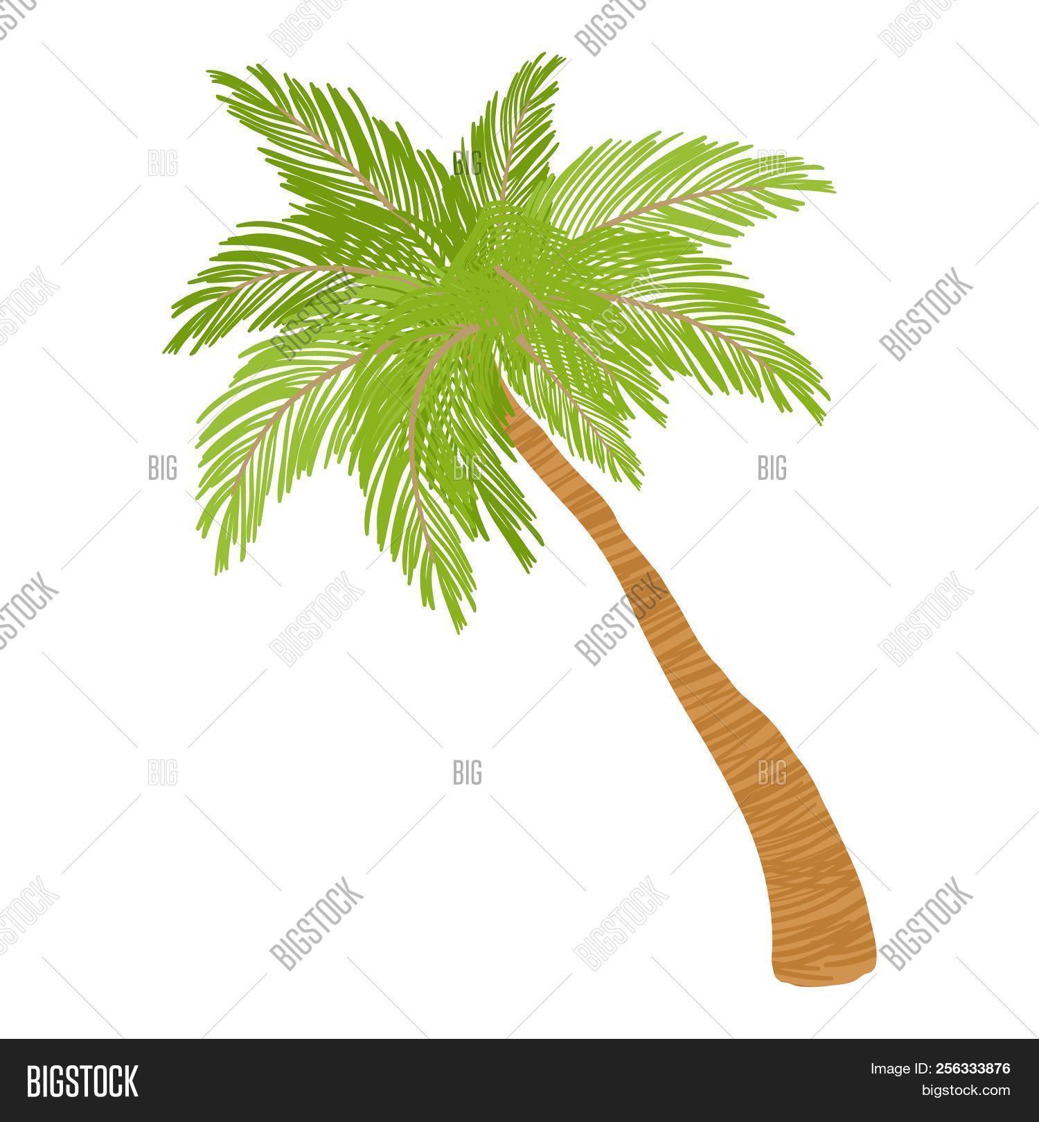 Date Palm Icon. Image & Photo (Free Trial) | Bigstock