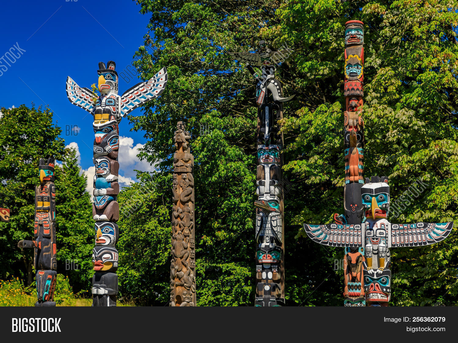 First Nations American Image & Photo (Free Trial) | Bigstock