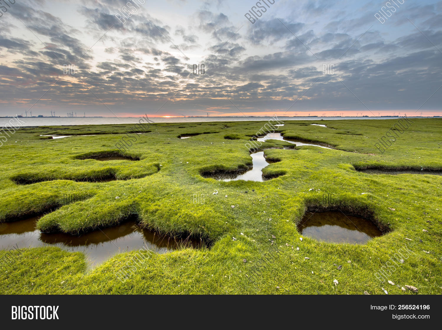 Erosion Holes Kuva ja valokuva (ilmainen kokeilu) | Bigstock