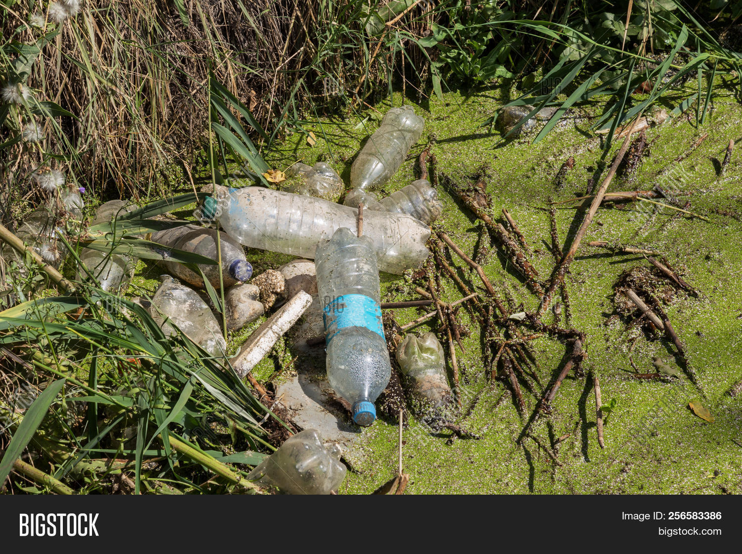 Spilled Garbage Small Image & Photo (Free Trial) | Bigstock