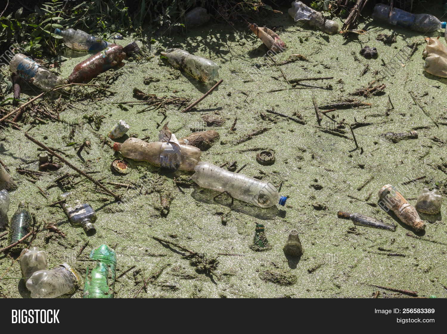 Spilled Garbage Small Image & Photo (Free Trial) | Bigstock