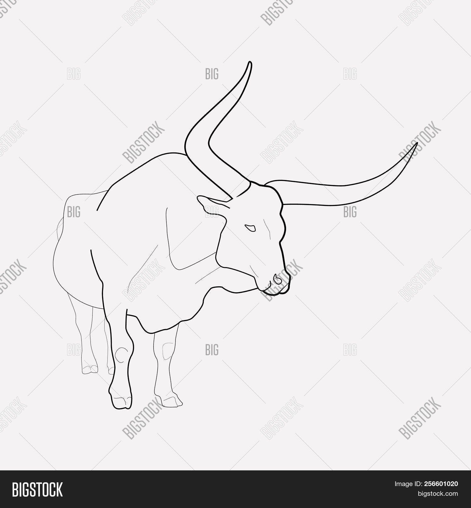 Ox Icon Line Element. Image & Photo (Free Trial) | Bigstock
