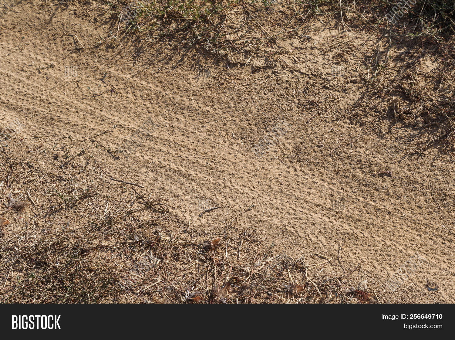 Bike Bus Print Dust Image & Photo (Free Trial) | Bigstock