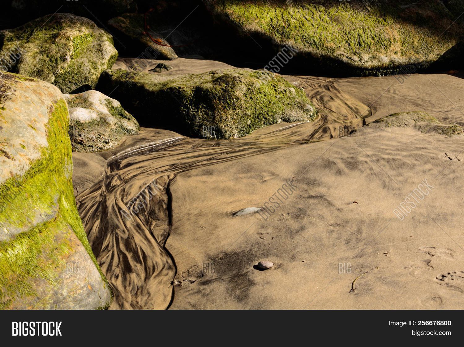 Patterns Silt Water Image & Photo (Free Trial) | Bigstock