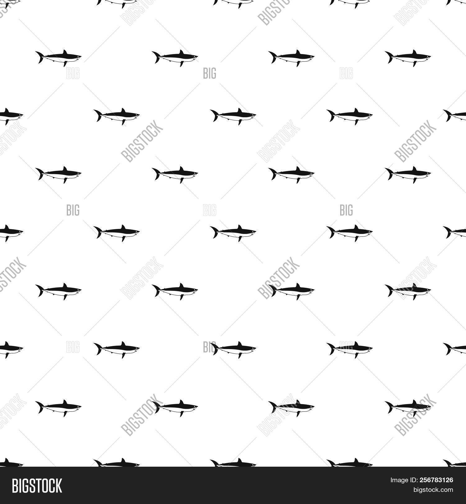 Shark Pattern. Simple Image & Photo (Free Trial) | Bigstock
