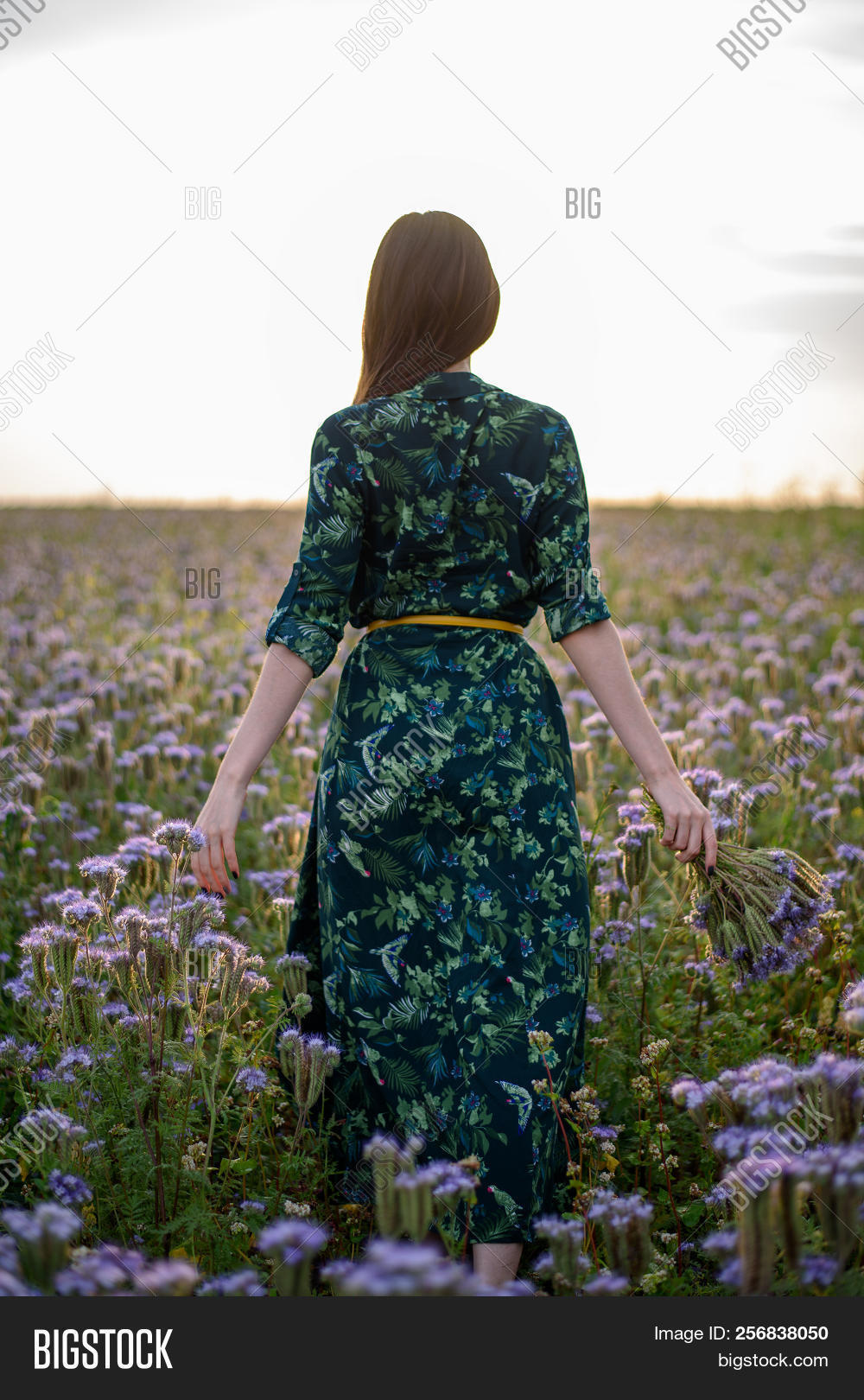 View Back Woman Image & Photo (Free Trial) | Bigstock