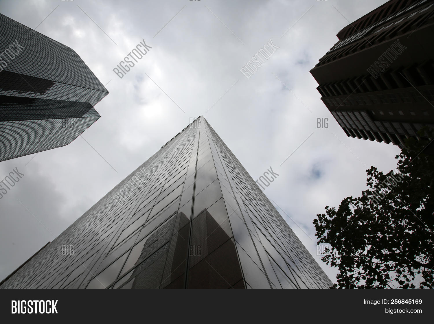 Skyscrapers Seen Image & Photo (Free Trial) | Bigstock