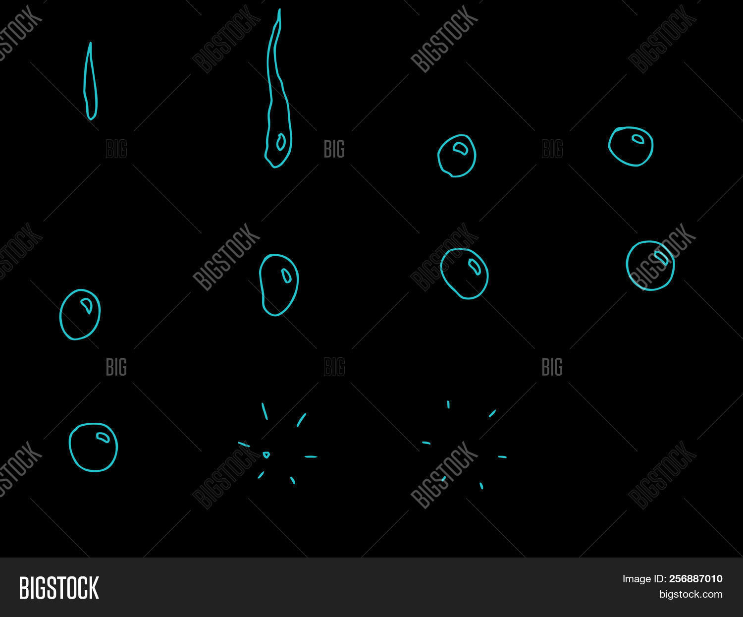 Imagen y foto Sprite Sheets (prueba gratis) | Bigstock