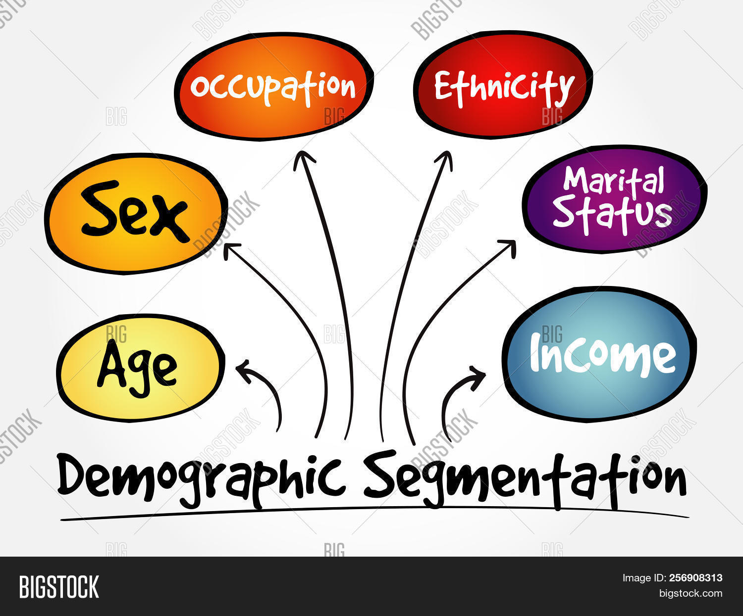 Demographic Image & Photo (Free Trial) | Bigstock