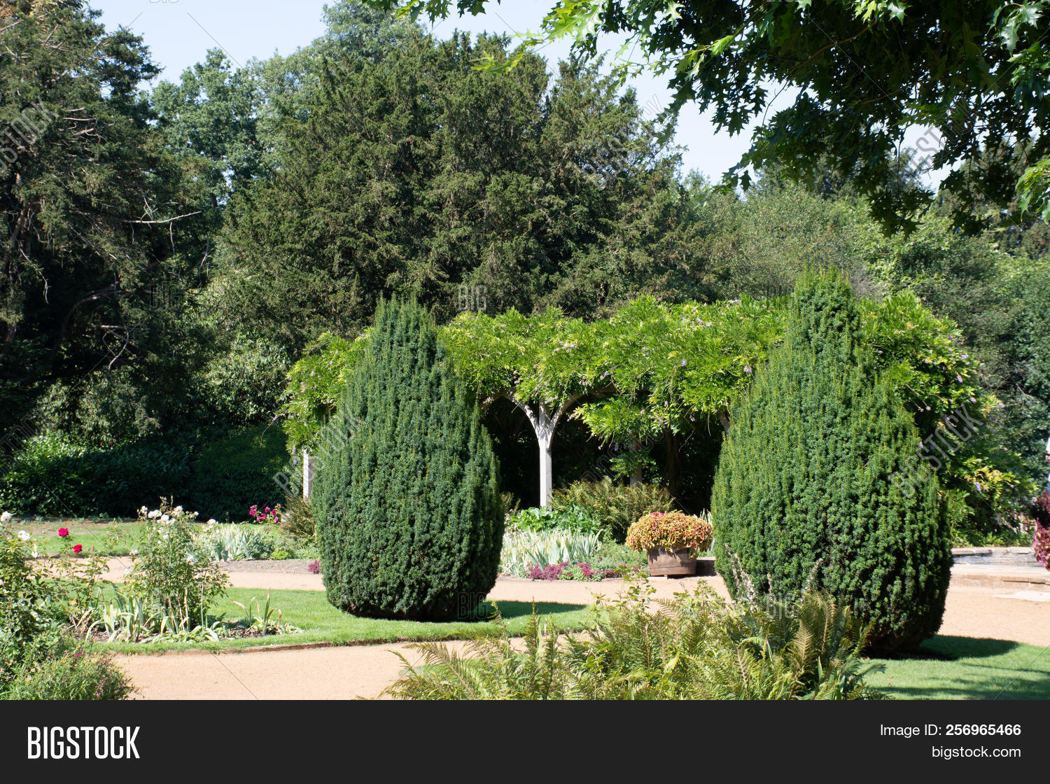 Traditional English Image & Photo (Free Trial) | Bigstock