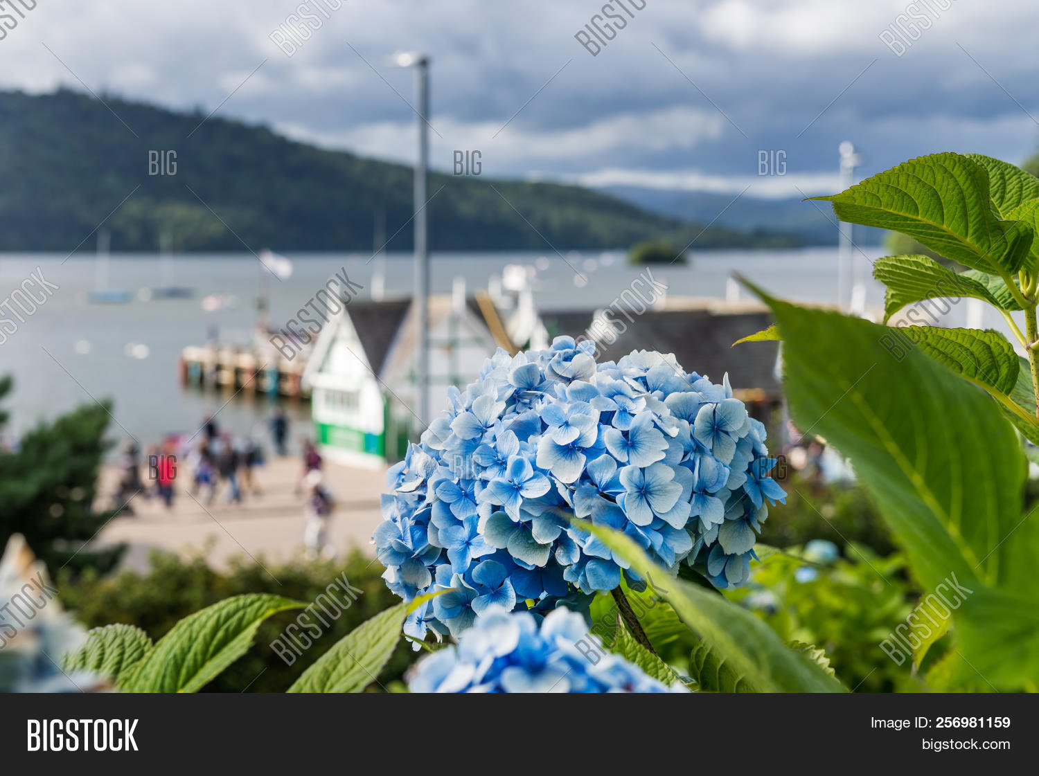 Bowness Pier Boats Image & Photo (Free Trial) | Bigstock