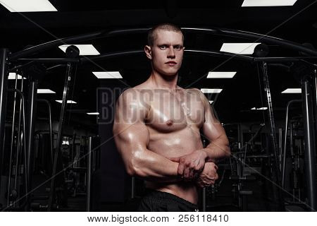 Portrait Very Muscular Image & Photo (Free Trial) | Bigstock