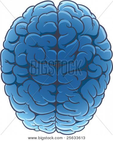Blue Human Brain. Vector & Photo (Free Trial) | Bigstock