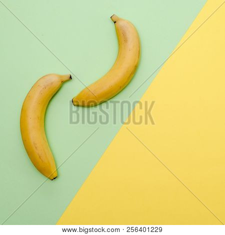 Layout Design Two Image & Photo (Free Trial) | Bigstock