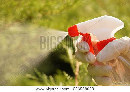Spraying Spraying Image & Photo (Free Trial) | Bigstock