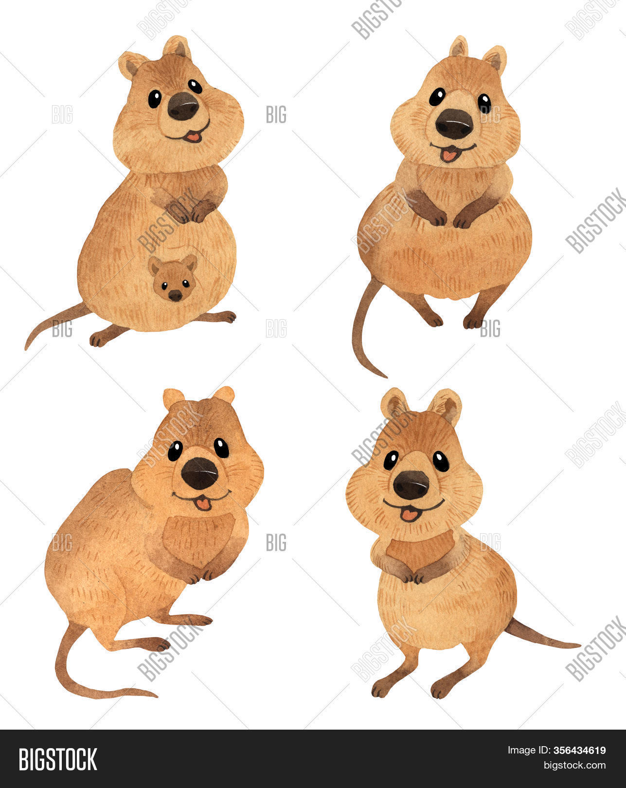 Set Smiling Australian Image & Photo (Free Trial) | Bigstock