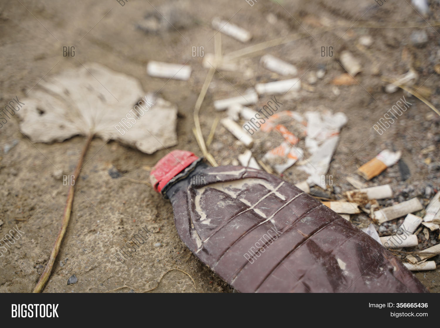 Garbage Everywhere. Image & Photo (Free Trial) | Bigstock