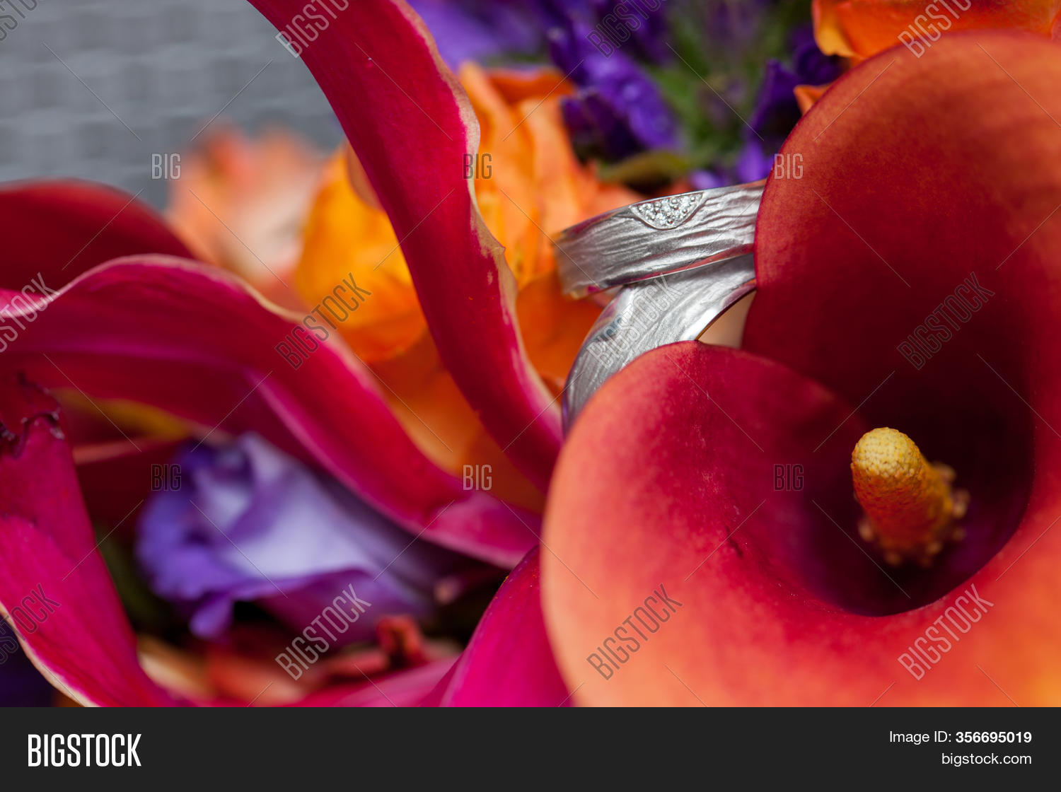 Close Colorful Vivid Image & Photo (Free Trial) | Bigstock