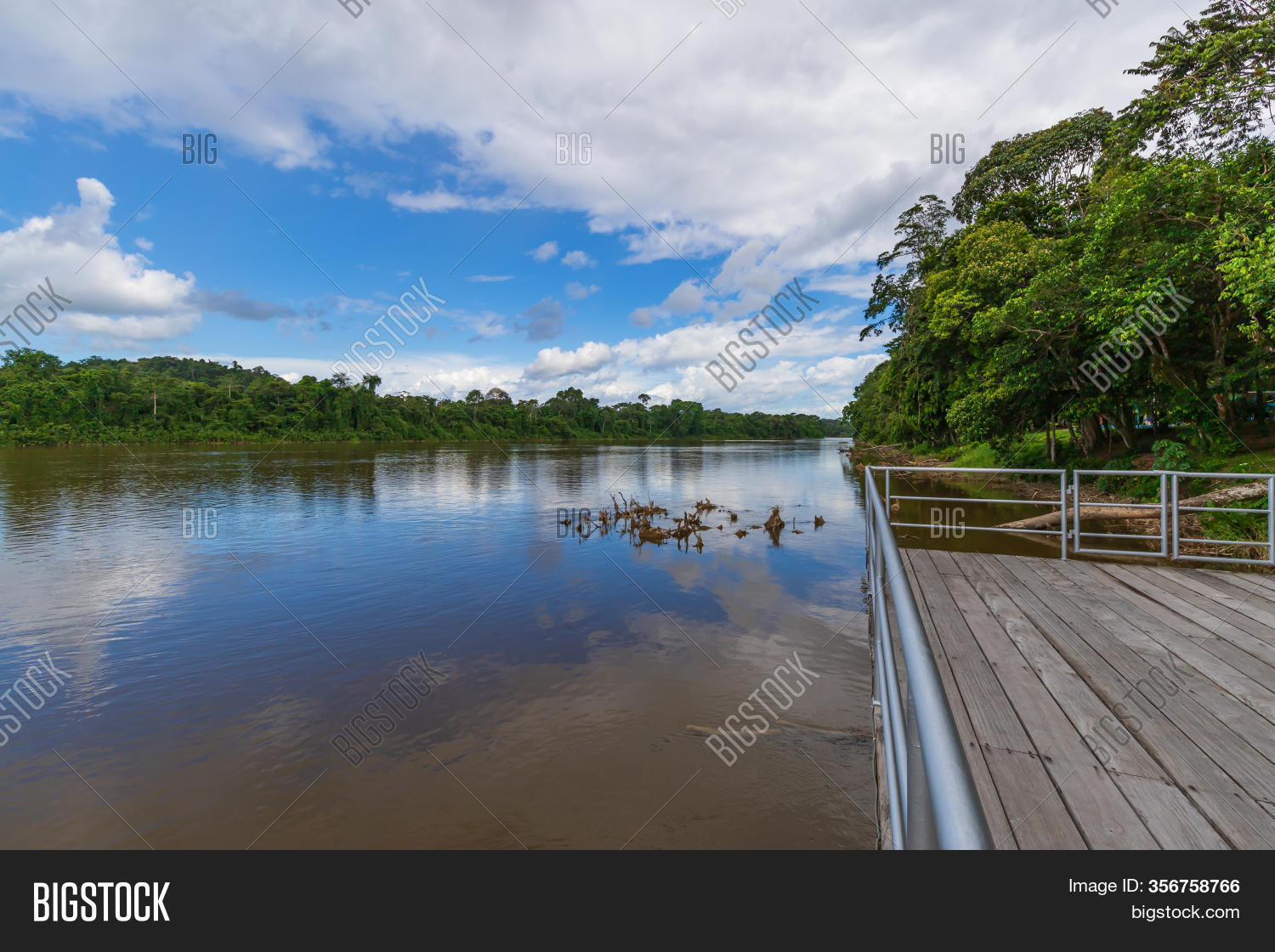 Suriname River Running Image & Photo (Free Trial) | Bigstock