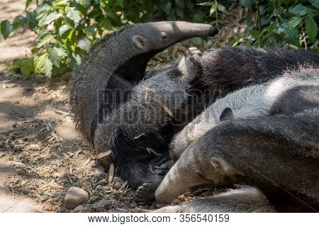 Adorable Moment Female Image & Photo (Free Trial) | Bigstock