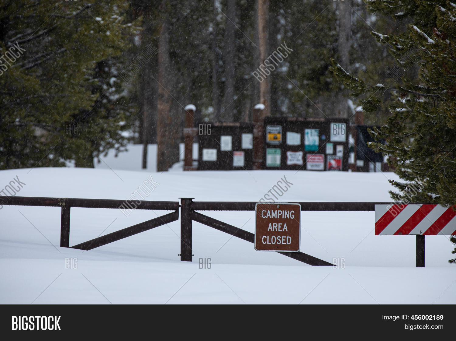 Sign Posted About Camp Image & Photo (Free Trial) | Bigstock