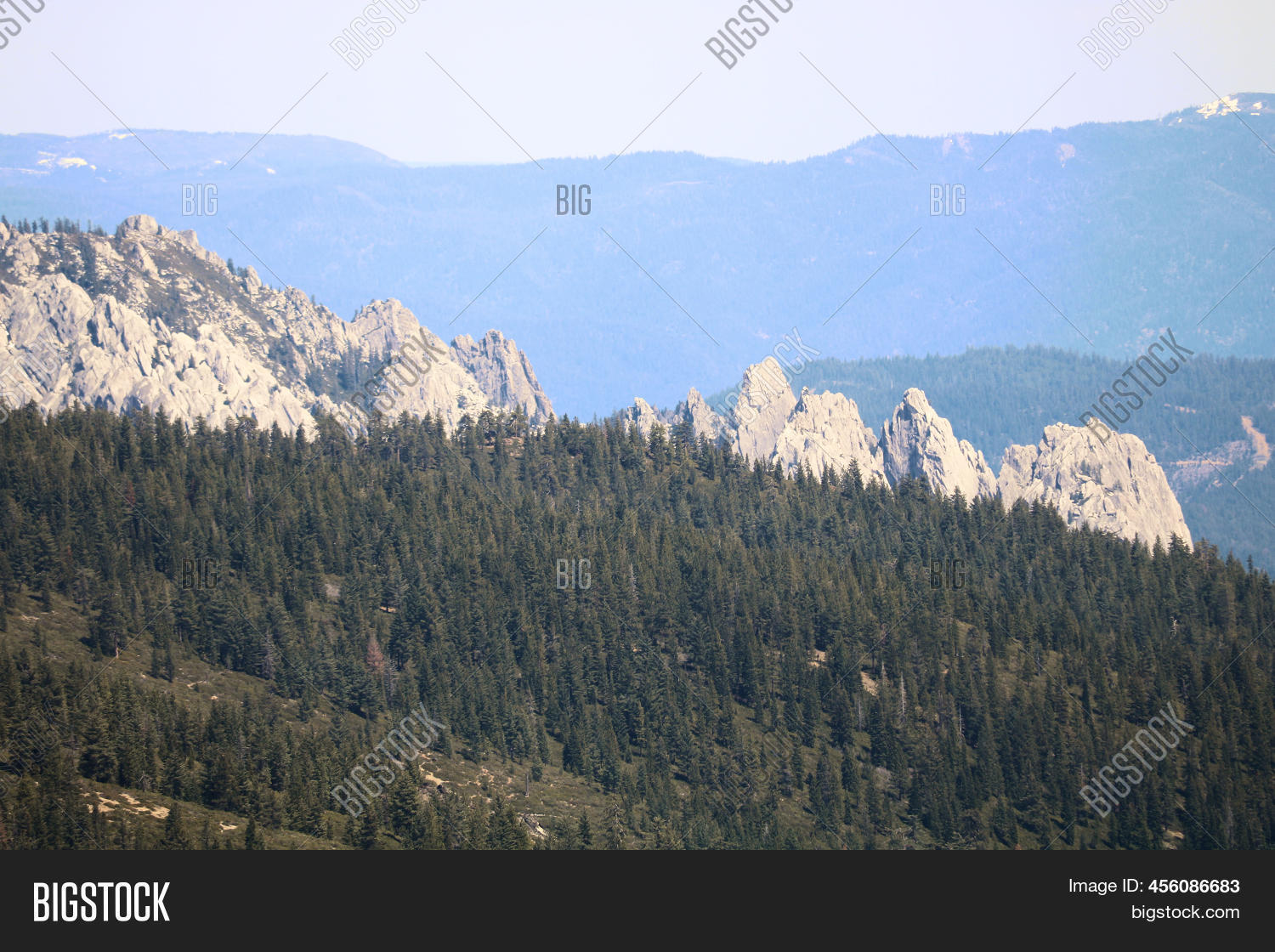 Pine Trees On Alpine Image & Photo (Free Trial) | Bigstock