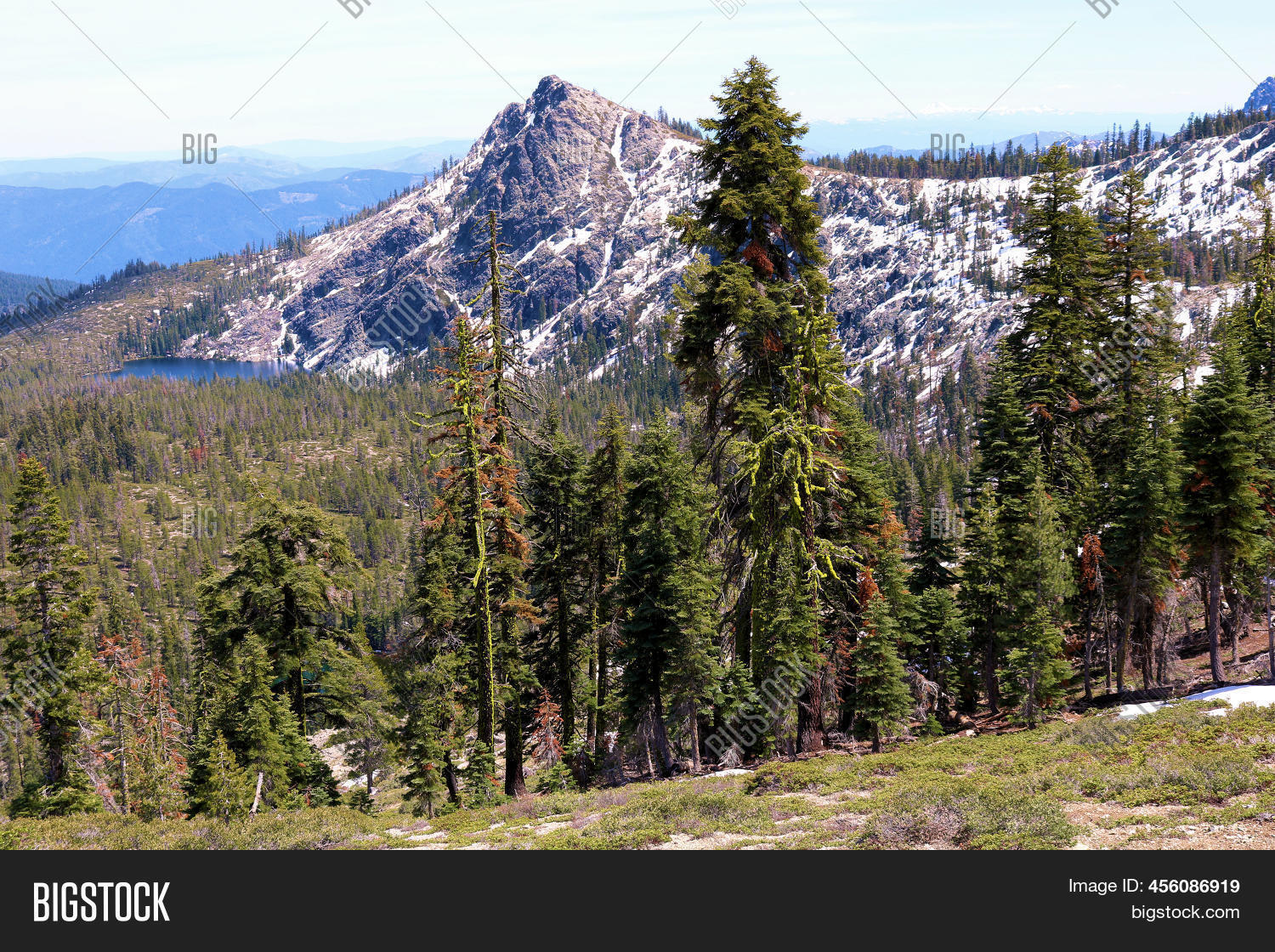 Lush Alpine Meadow Image & Photo (Free Trial) | Bigstock
