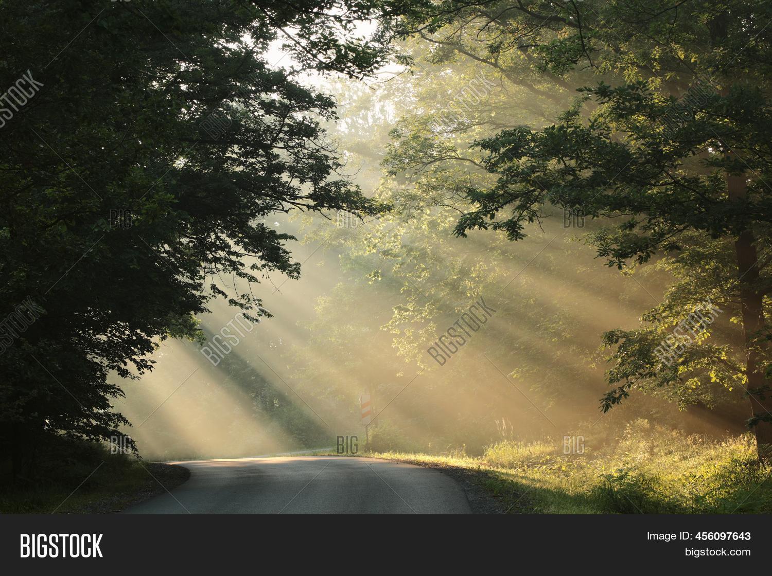 Road Path Autumn Image & Photo (Free Trial) | Bigstock