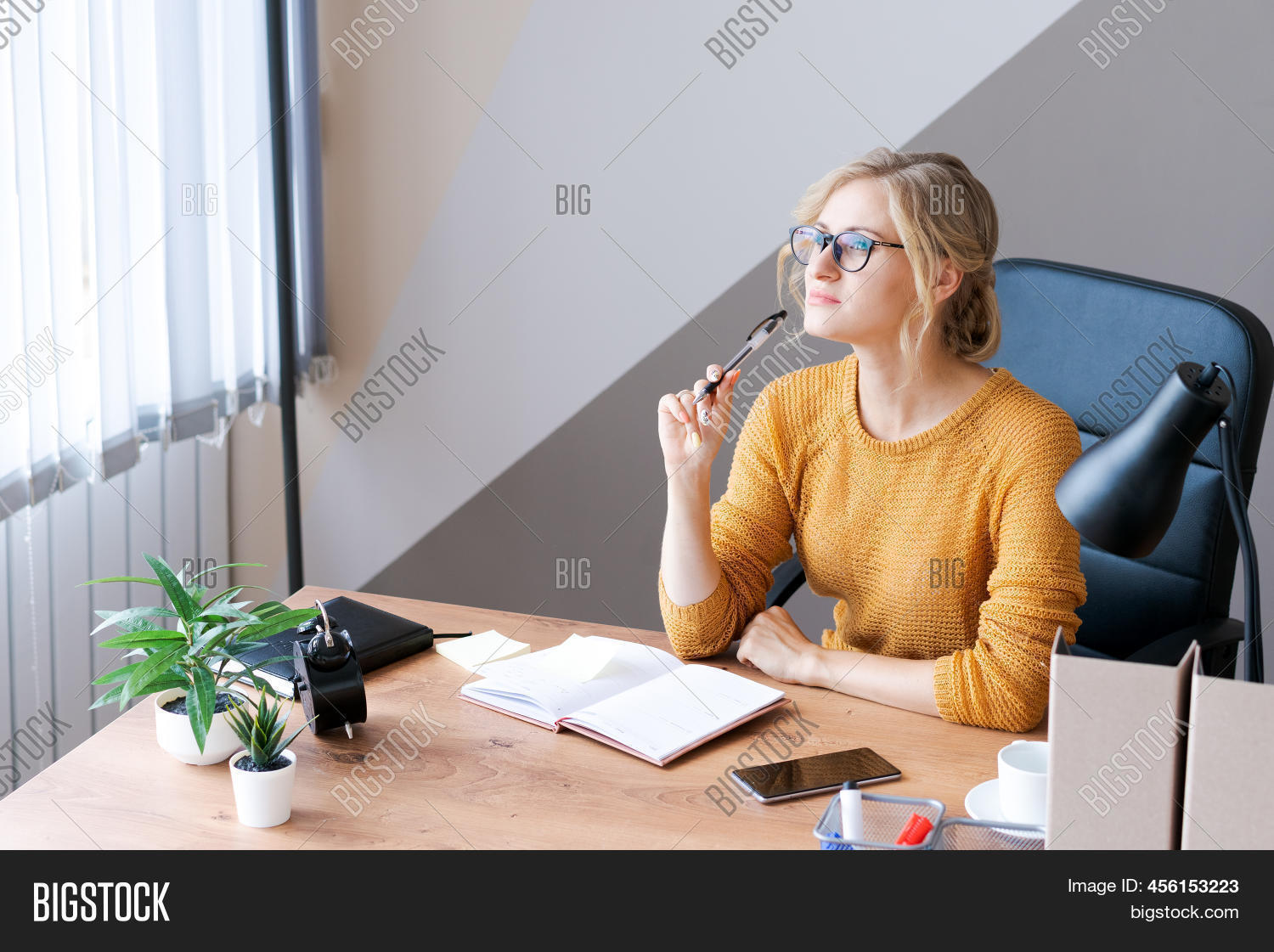 Nice Business Woman Image & Photo (Free Trial) | Bigstock