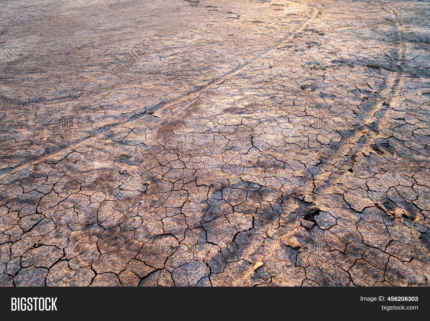 Car Marks On Ground Image & Photo (Free Trial) | Bigstock
