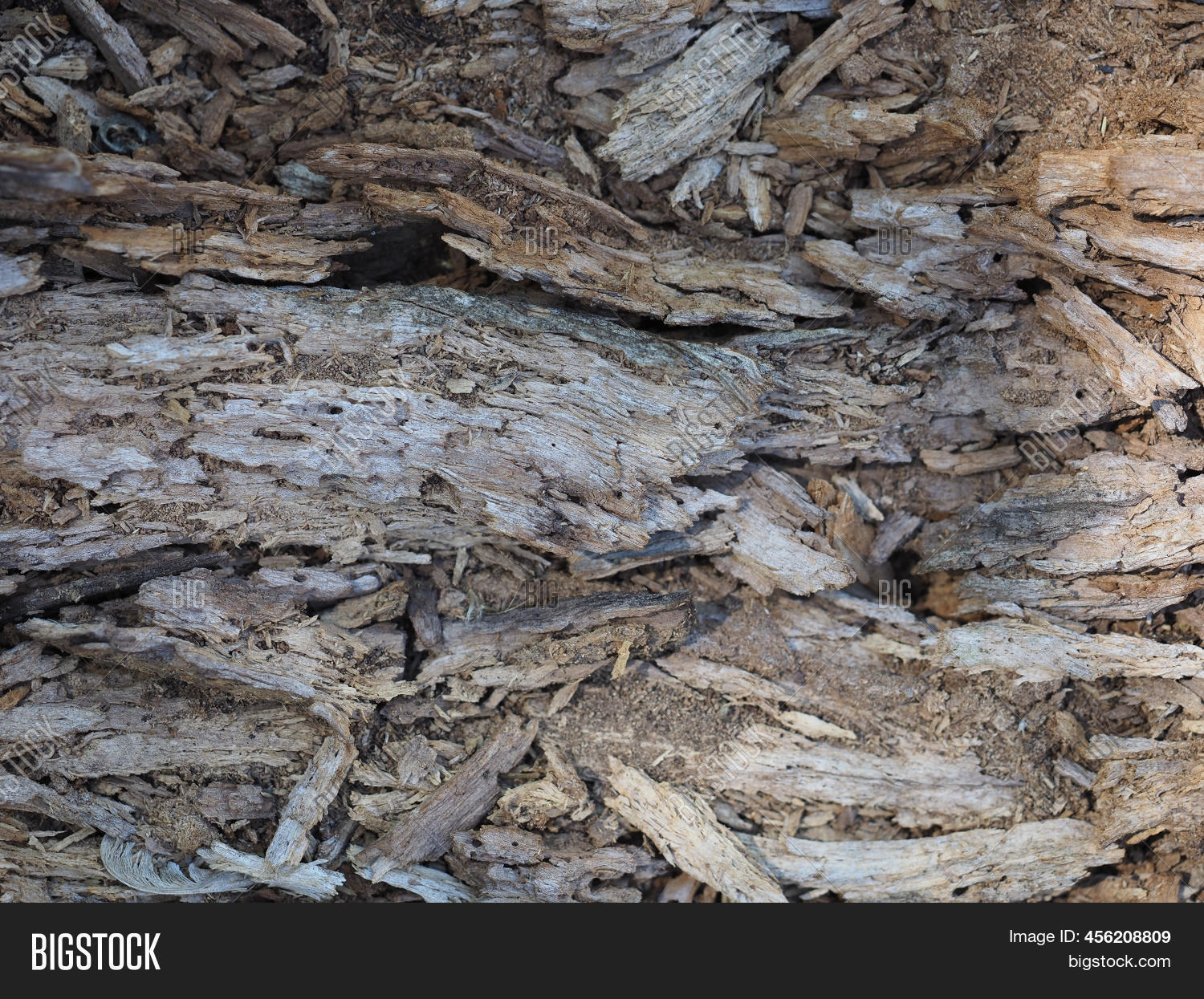 Old Rotting Wood Image & Photo (Free Trial) | Bigstock