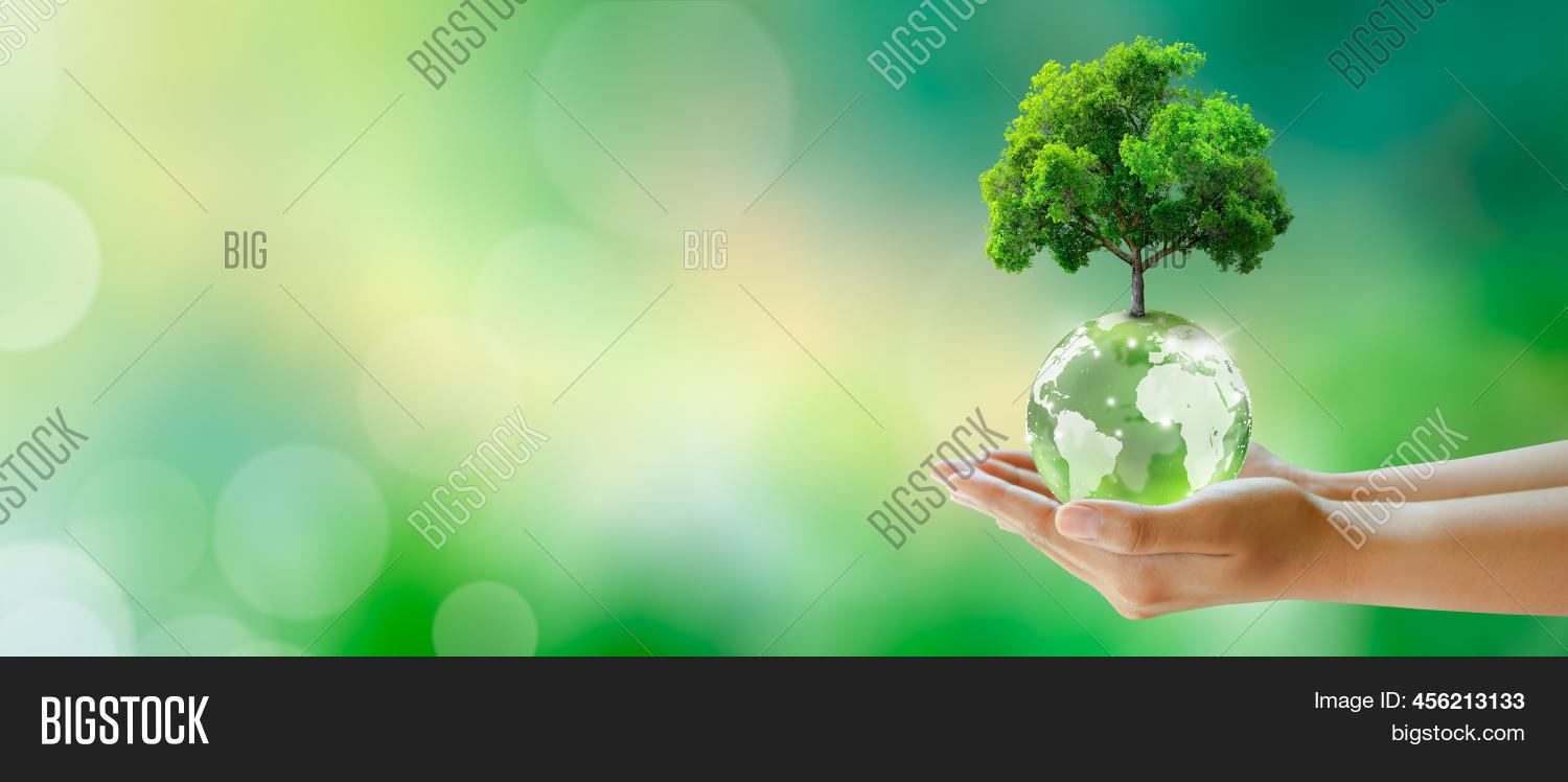 Growing Tree On Globe Image & Photo (Free Trial) | Bigstock