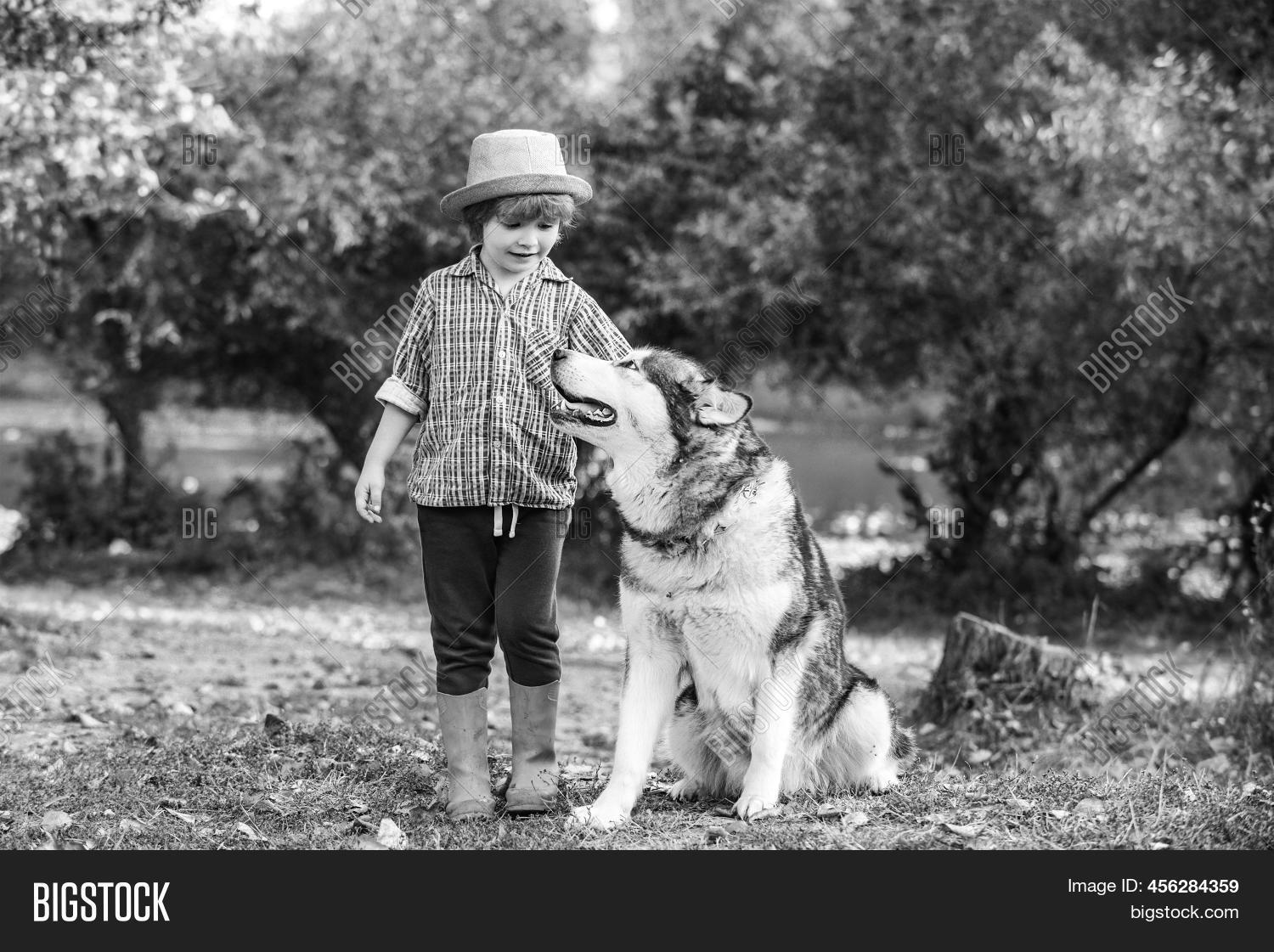 Boy Playing His Dog Image & Photo (Free Trial) | Bigstock