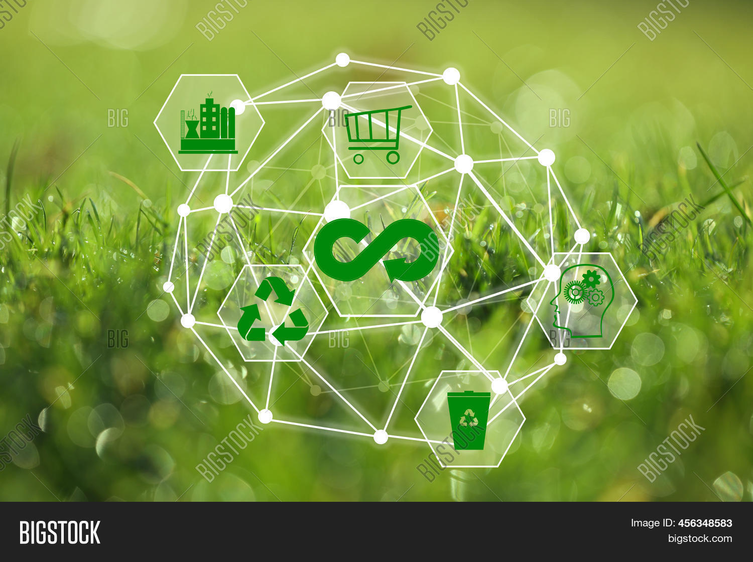 Circular Economy Image & Photo (Free Trial) | Bigstock