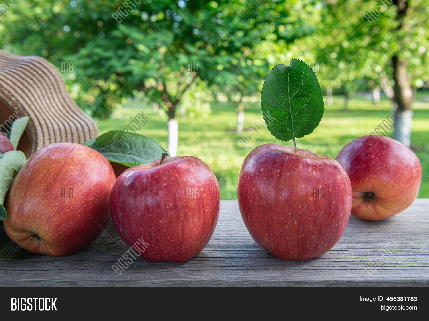 Close- Few 图片和照片（免费试用） | Bigstock