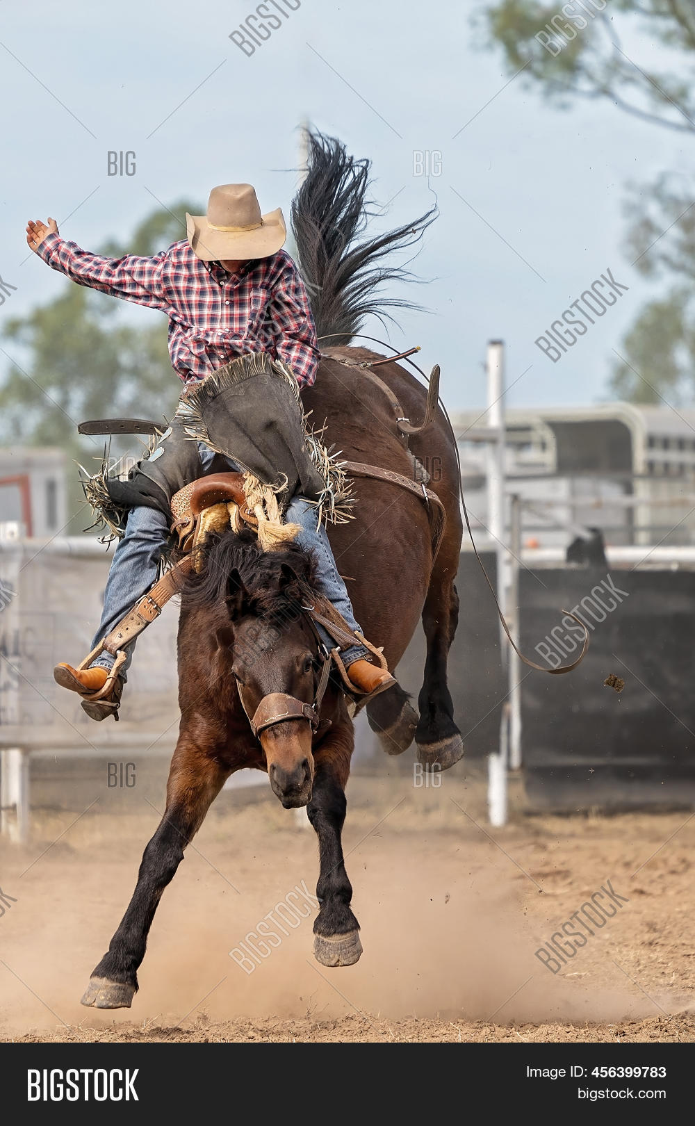 Cowboy Riding Bucking Image & Photo (Free Trial) | Bigstock