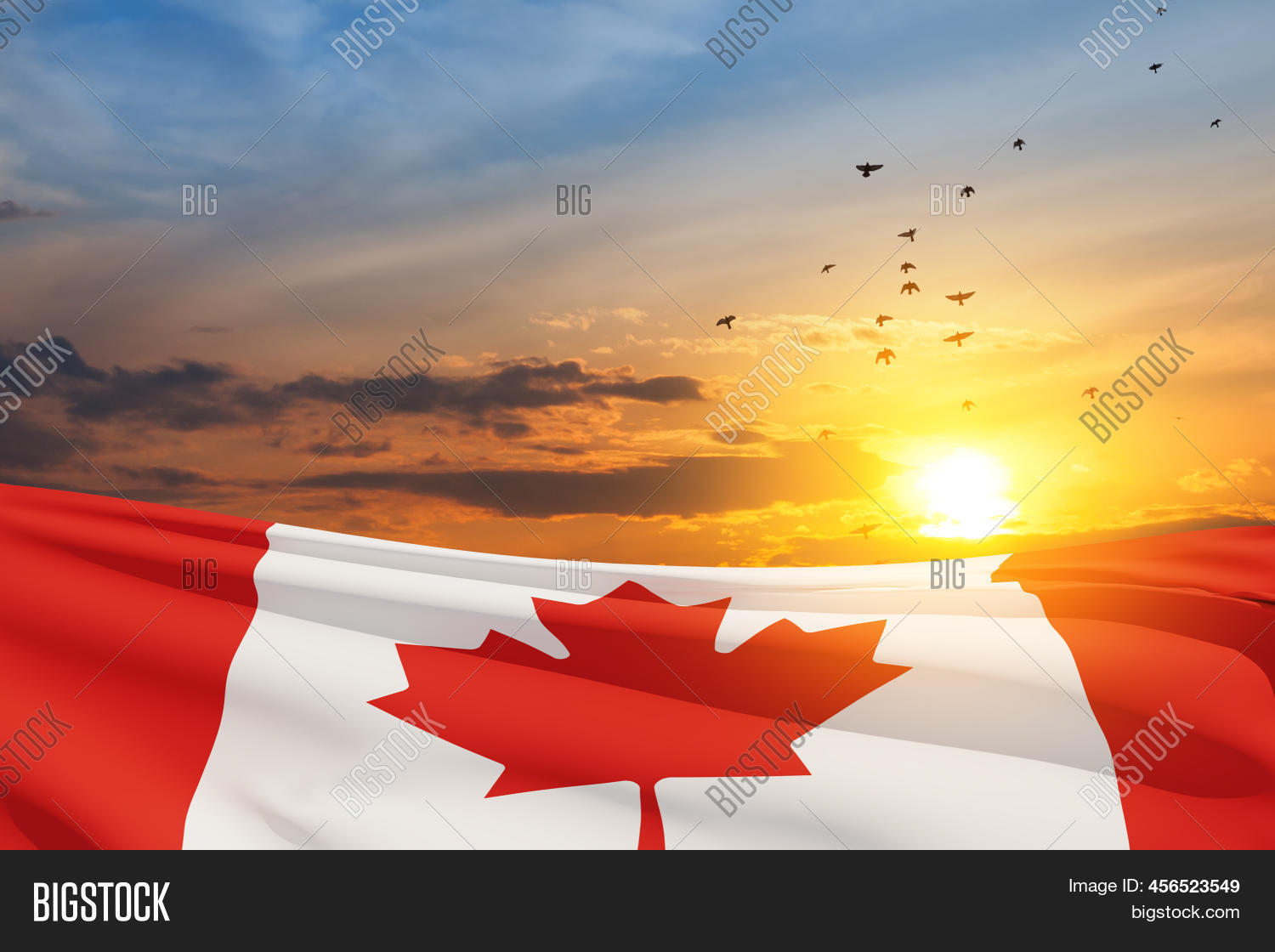 Canada National Flag Image & Photo (Free Trial) | Bigstock