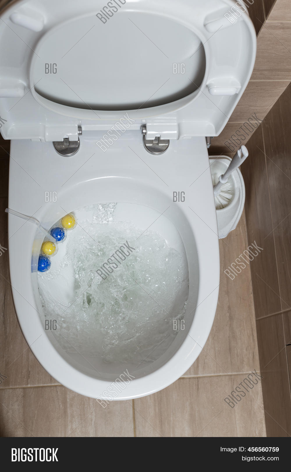 Toilet Top View. Open Image & Photo (Free Trial) | Bigstock