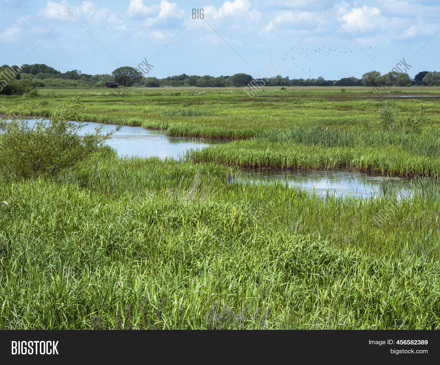 Wetland Wheldrake Ings Image & Photo (Free Trial) | Bigstock