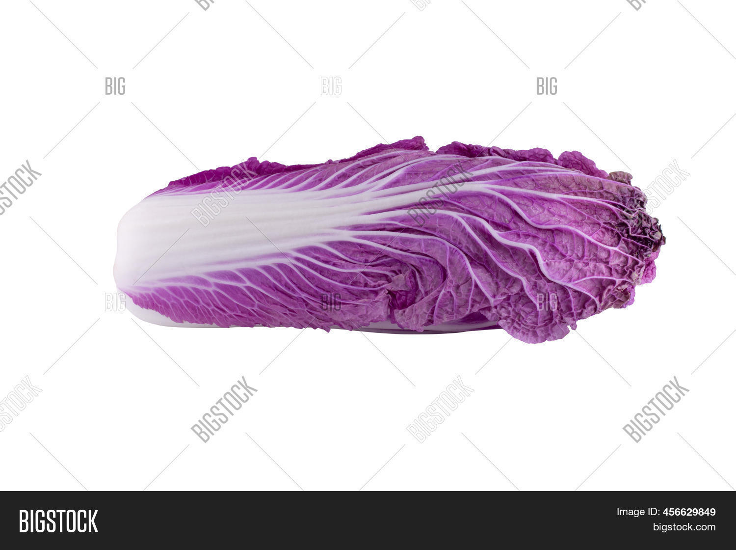 Purple Chinese Cabbage Image & Photo (Free Trial) | Bigstock