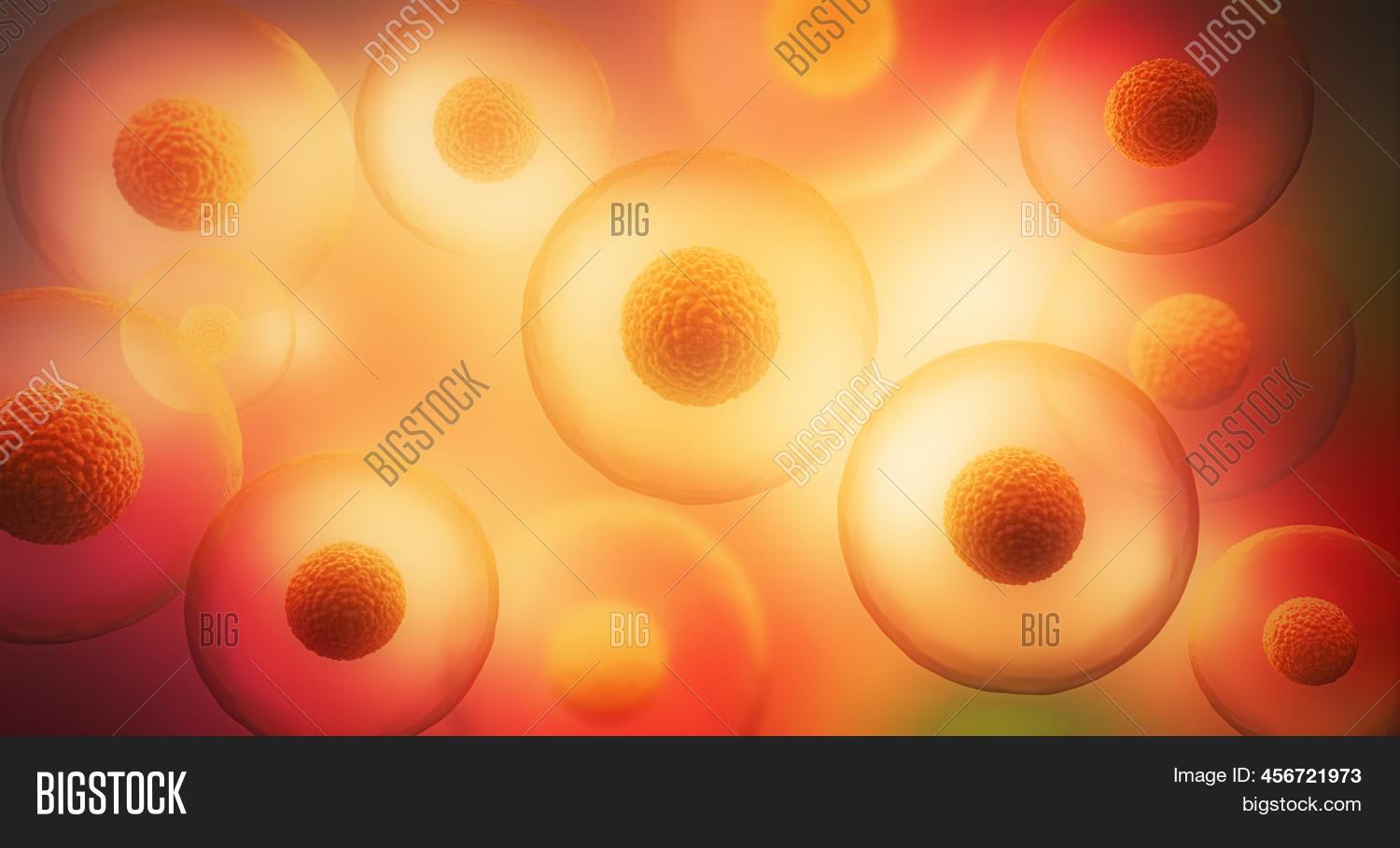 Transparent Cells Image & Photo (Free Trial) | Bigstock